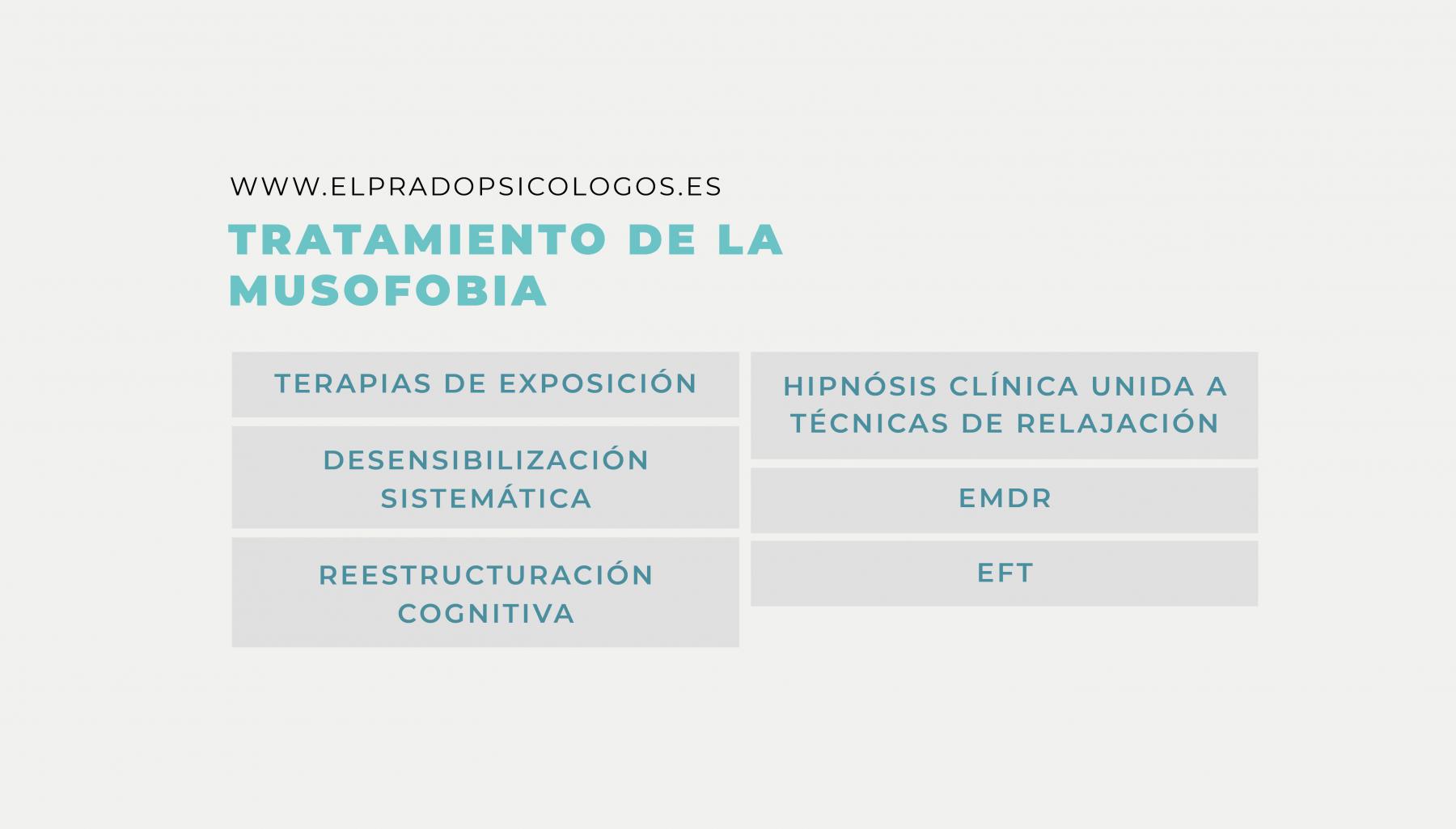 Musofobia: cómo superar el miedo a los ratones y a las ratas